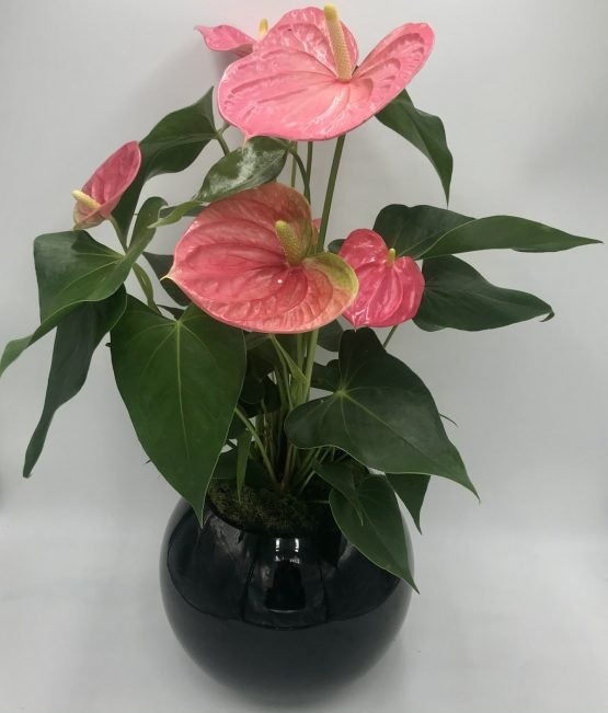 Home | Flùr Flowers