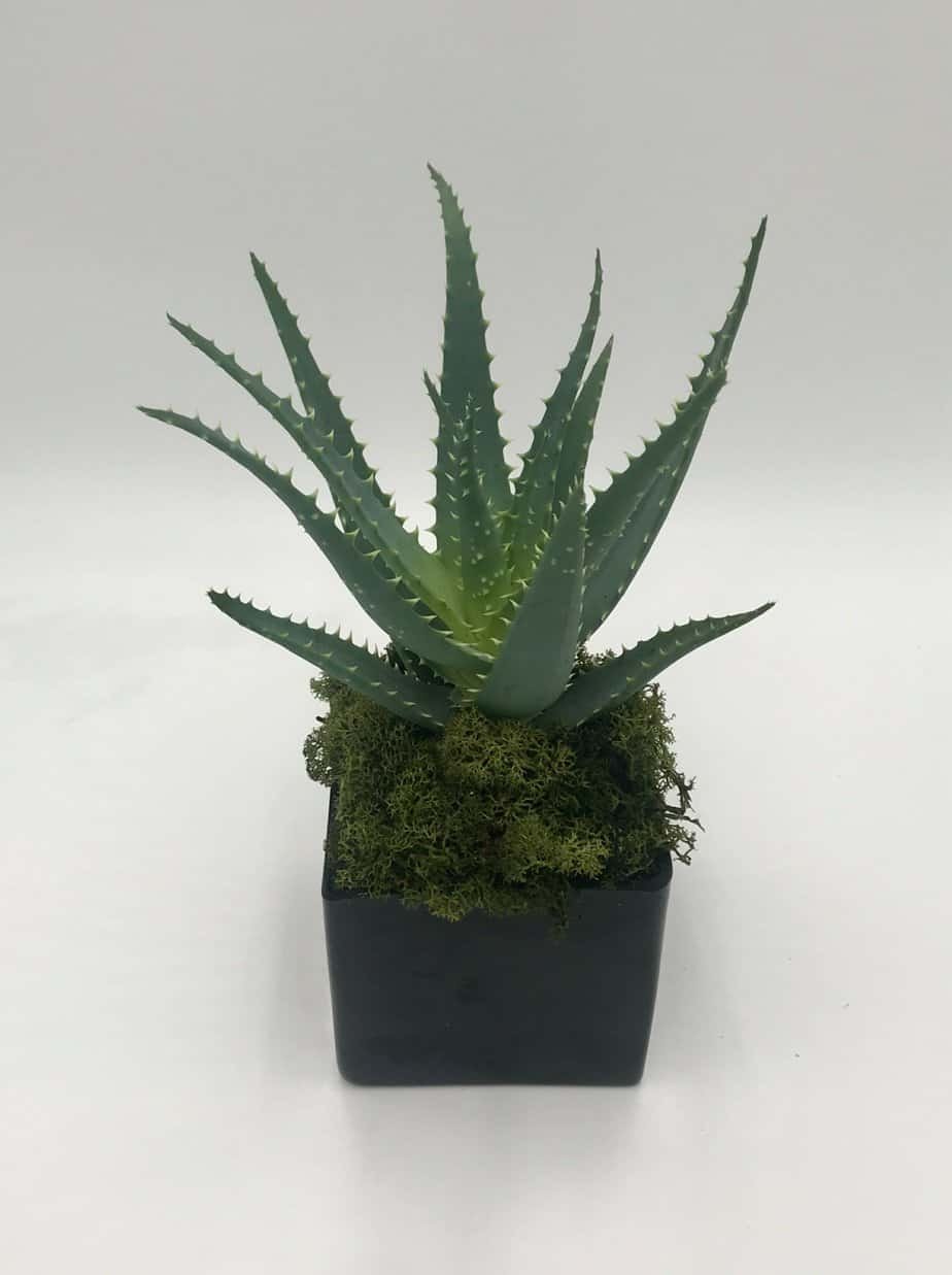 Home | Flùr Flowers