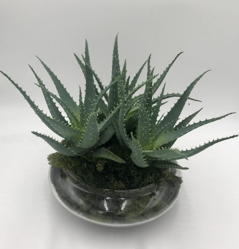 Flùr Flowers | Luxury Online Florist | Same Day/Next Day Delivery